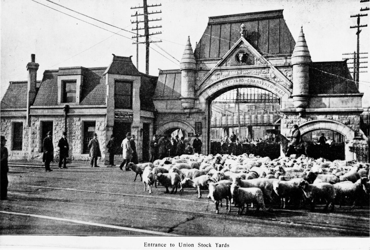 Gallery Tour Video: Impacts of the Stockyards and Meatpacking - Chicago ...