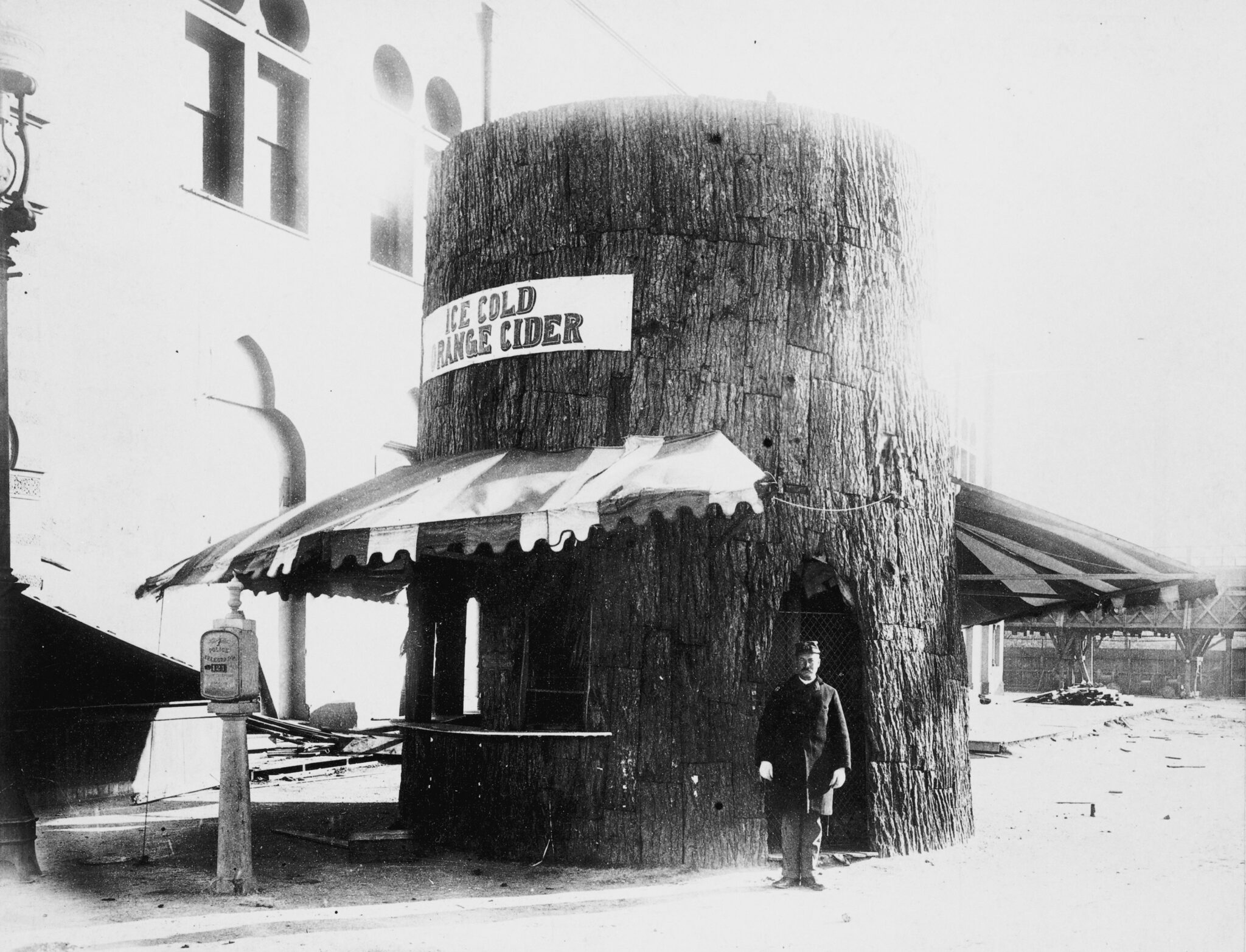 Orange Cider at the 1893 World’s Fair: Drink of the Gods or Soul ...