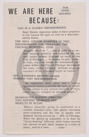 Riot or Uprising? A Reflection on Race and Language in the Contested ...