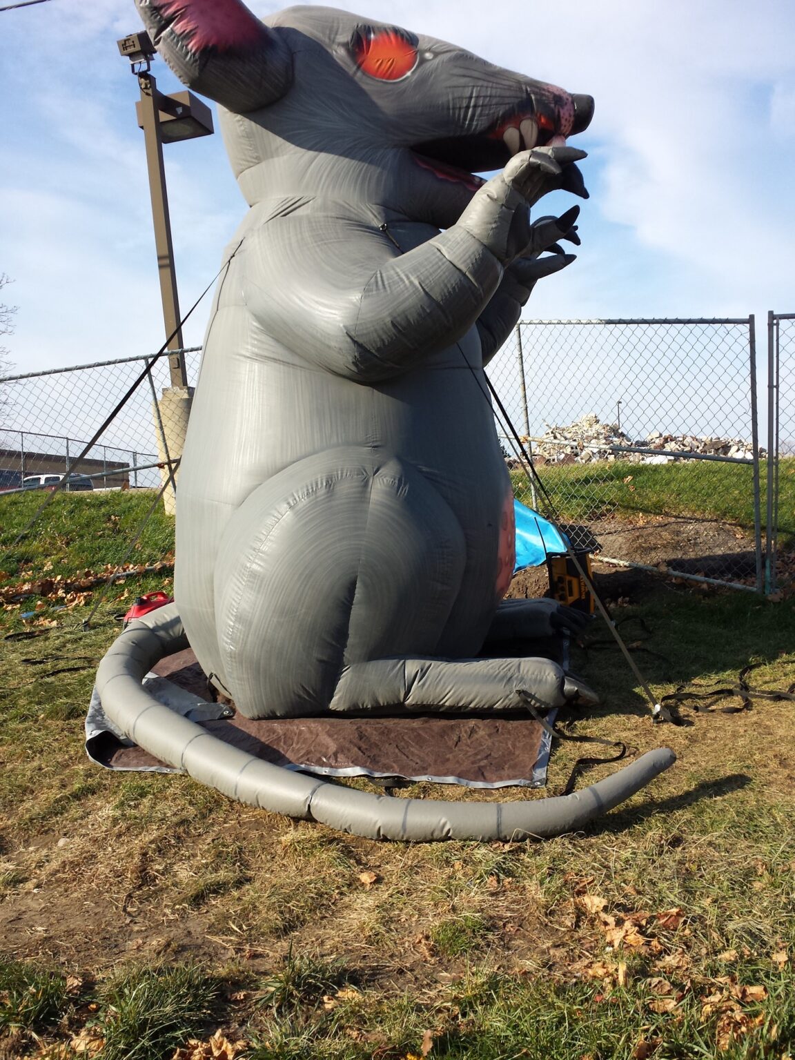 Chicago Rat Hole: Silly, Sacrilege, or Sacred? - Chicago History Museum