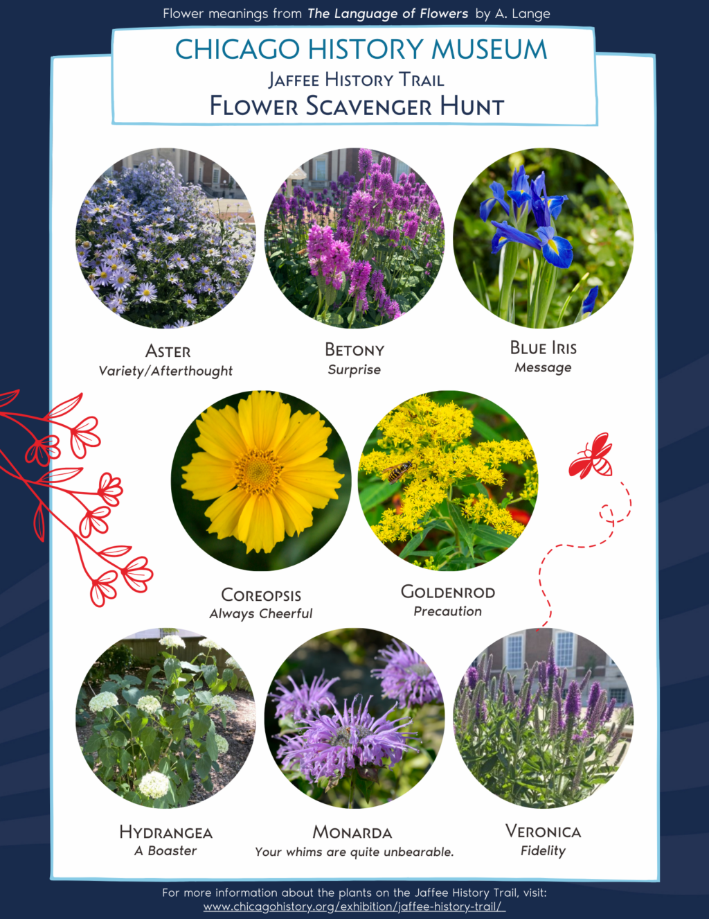 Speaking the Language of Flowers (With a Chicago Accent) - Chicago ...