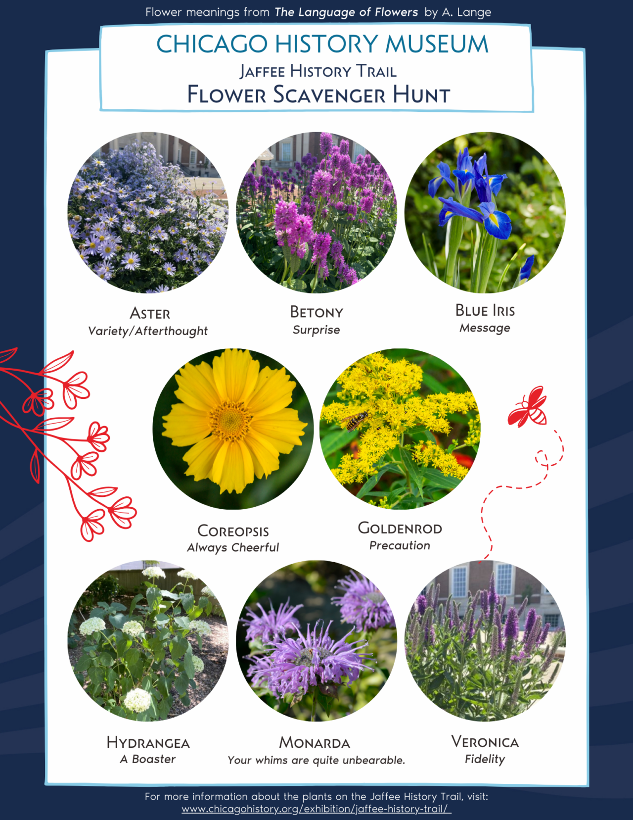 Speaking the Language of Flowers (With a Chicago Accent) - Chicago ...