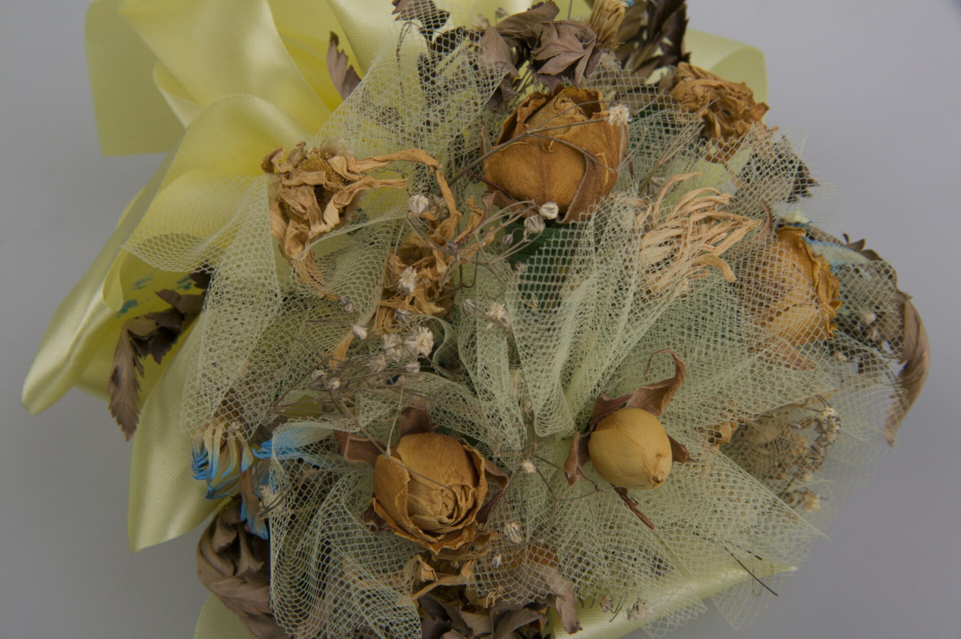 Speaking the Language of Flowers (With a Chicago Accent) - Chicago ...
