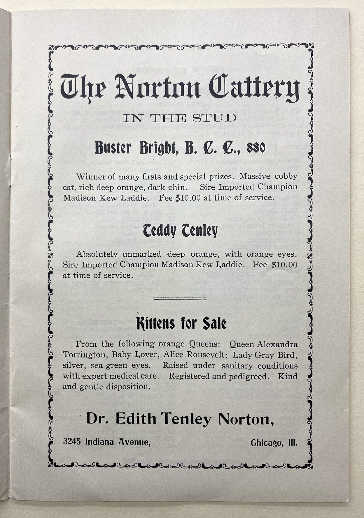 Not Just Cat Ladies: The Beresford Cat Club of America - Chicago ...