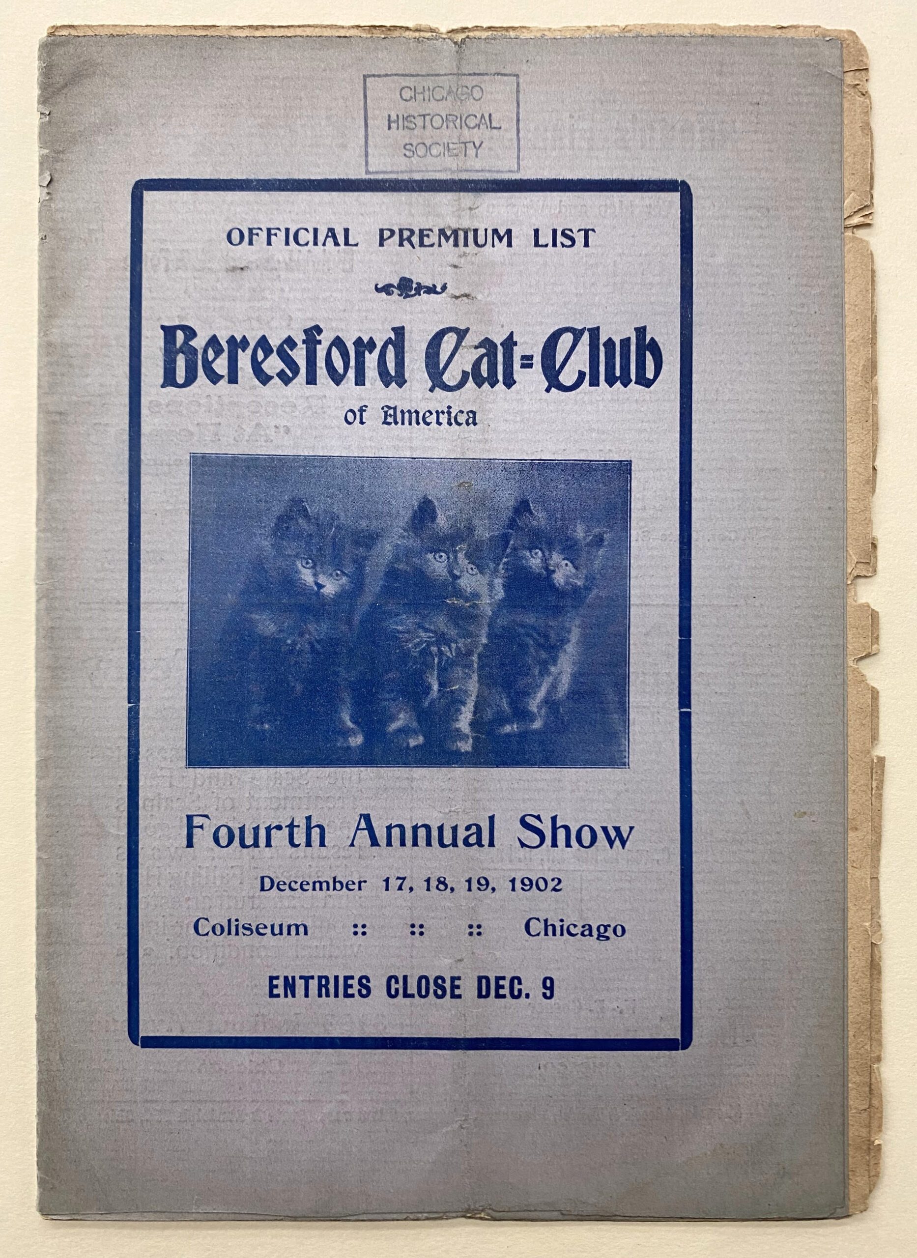 Not Just Cat Ladies: The Beresford Cat Club of America - Chicago ...